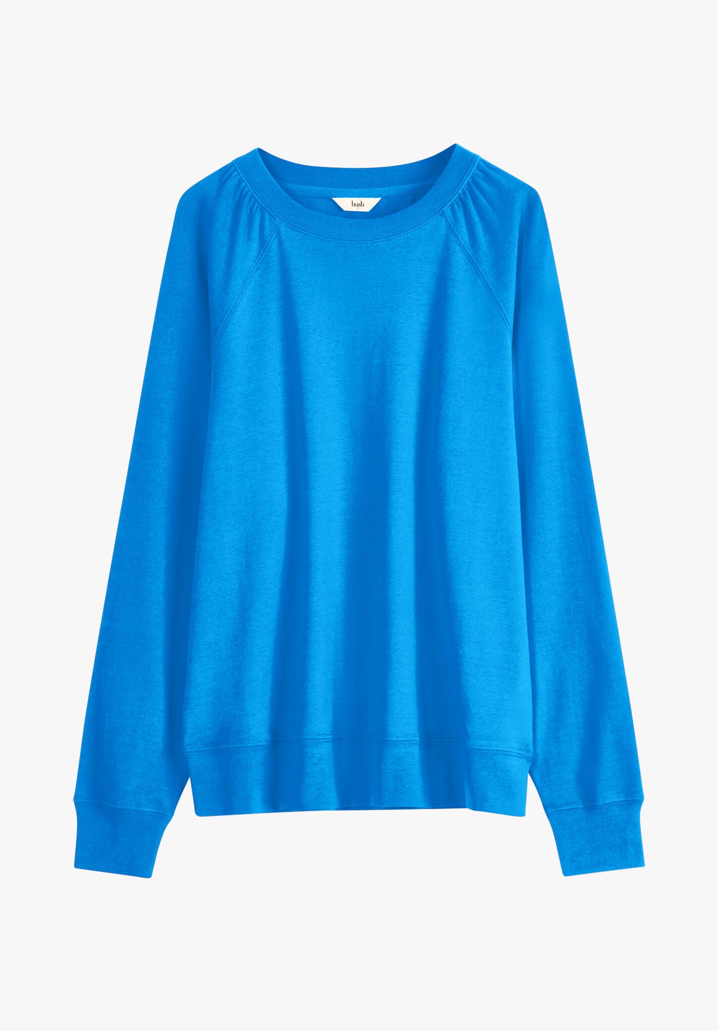 HUSH Genevieve Raglan Gathered Sleeve Top in Radiant Blue | endource