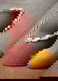 MANGO Shells Necklace in White | endource