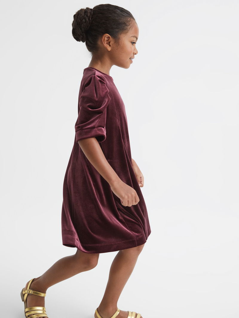 Reiss Berry Ellie Velvet Dress In Berry Endource