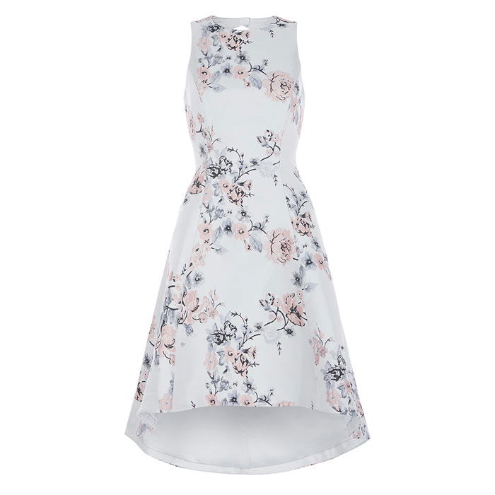 Coast Anneka Dress | Endource