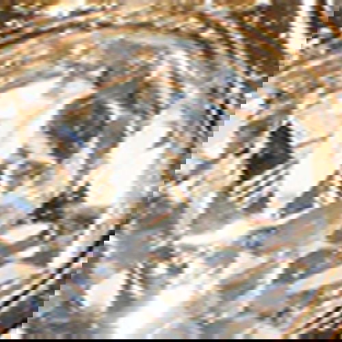 VALENTINO GARAVANI Embellished Coeur Royal Earrings | endource