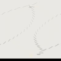 MONICA VINADER Siren Petal Chain Necklace | endource