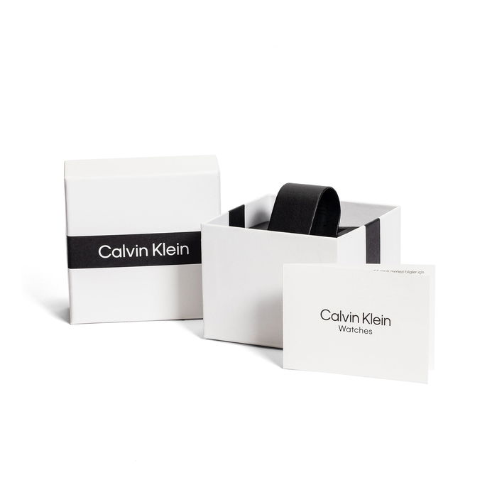 CALVIN KLEIN Mesh Watch | endource